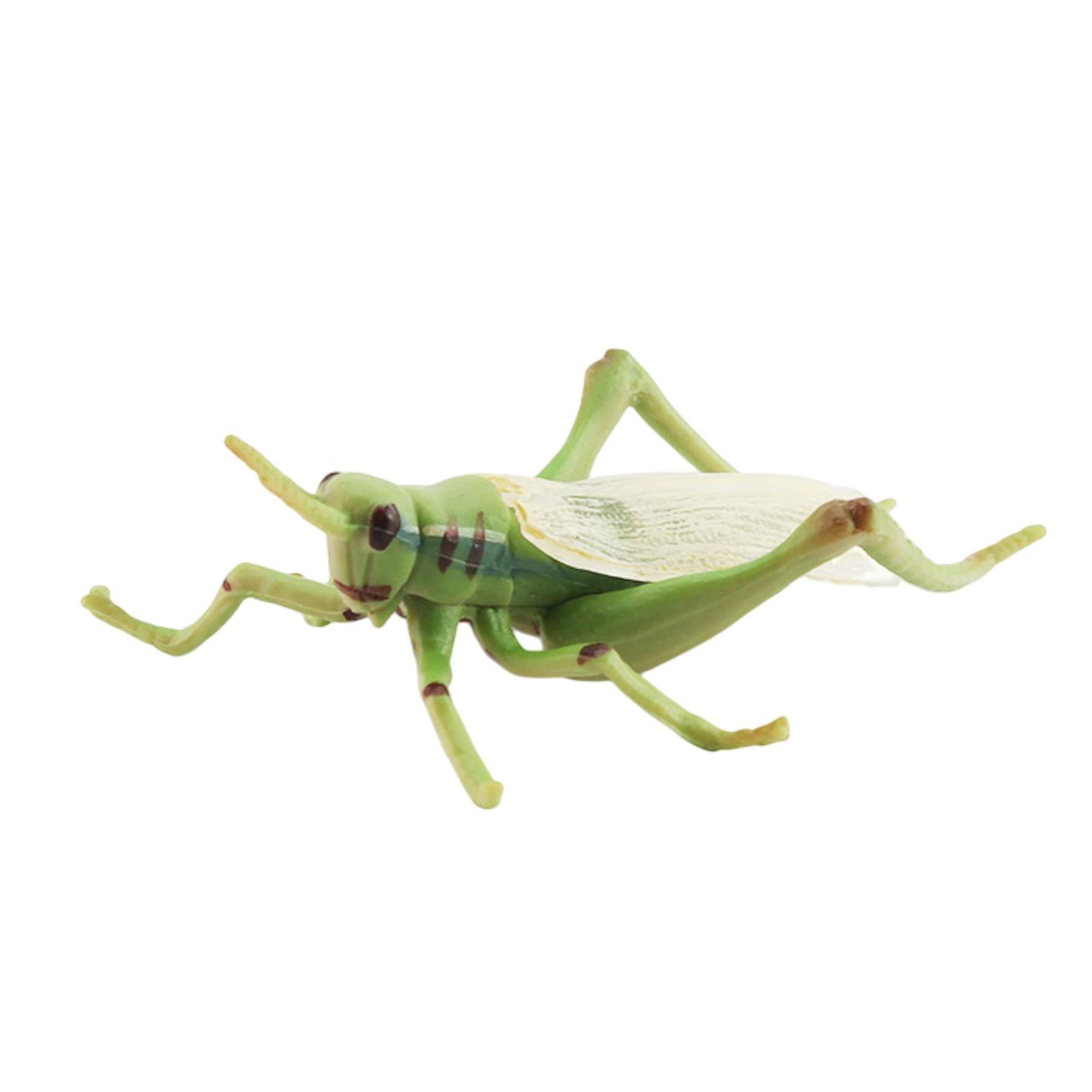 LIWEN Insect Model - Grasshopper, Dragonfly, Frog - Miniature Figurine ...