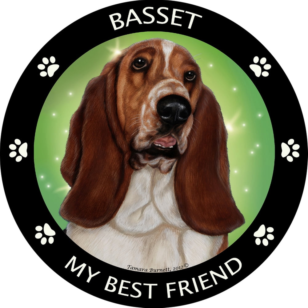 Basset Hound My Best Friend Magnet - Walmart.com