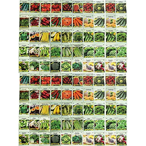 100 Assorted Heirloom Vegetable Seeds 100% Non-GMO (100, Deluxe ...