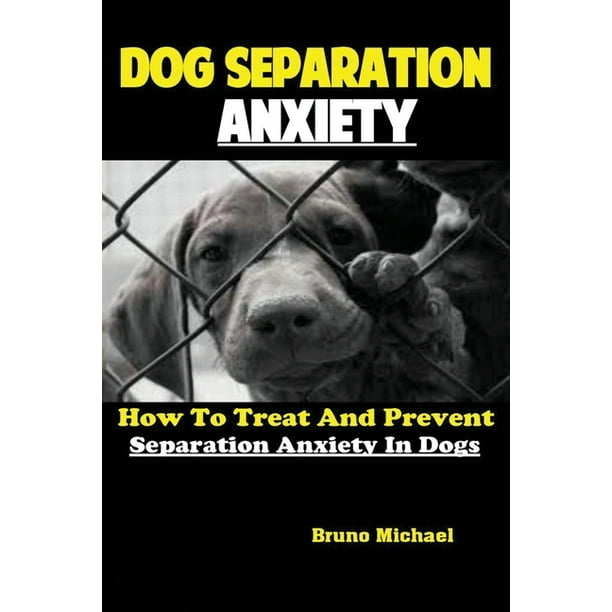 How To Stop Separation Anxiety Dogs