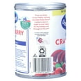 Ocean Spray® Jellied Cranberry Sauce, Canned Side Dish, 14 oz Can ...