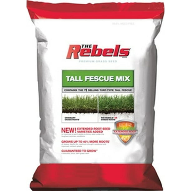 Rebels Tall Fescue Grass Seed - 40 Lbs. - Walmart.com - Walmart.com Rebels Tall Fescue Grass Seed - 40 Lbs. - Walmart.com - Walmart.com