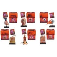 4D Human Heart Anatomy Model Science Kit - Walmart.com