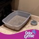 Odor Genie Odor Eliminator with Wild Berry Fragrance, 8 oz., 6 Ct ...