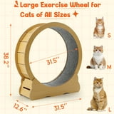 YODOLLA 31.5” Cat Treadmill Cat Exercise Wheel with Nonslip Carpet Cat ...