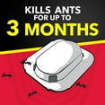 Raid Ant Baits III, Indoor Ant Killer Traps, 0.24 oz, 8 ct - Walmart.com