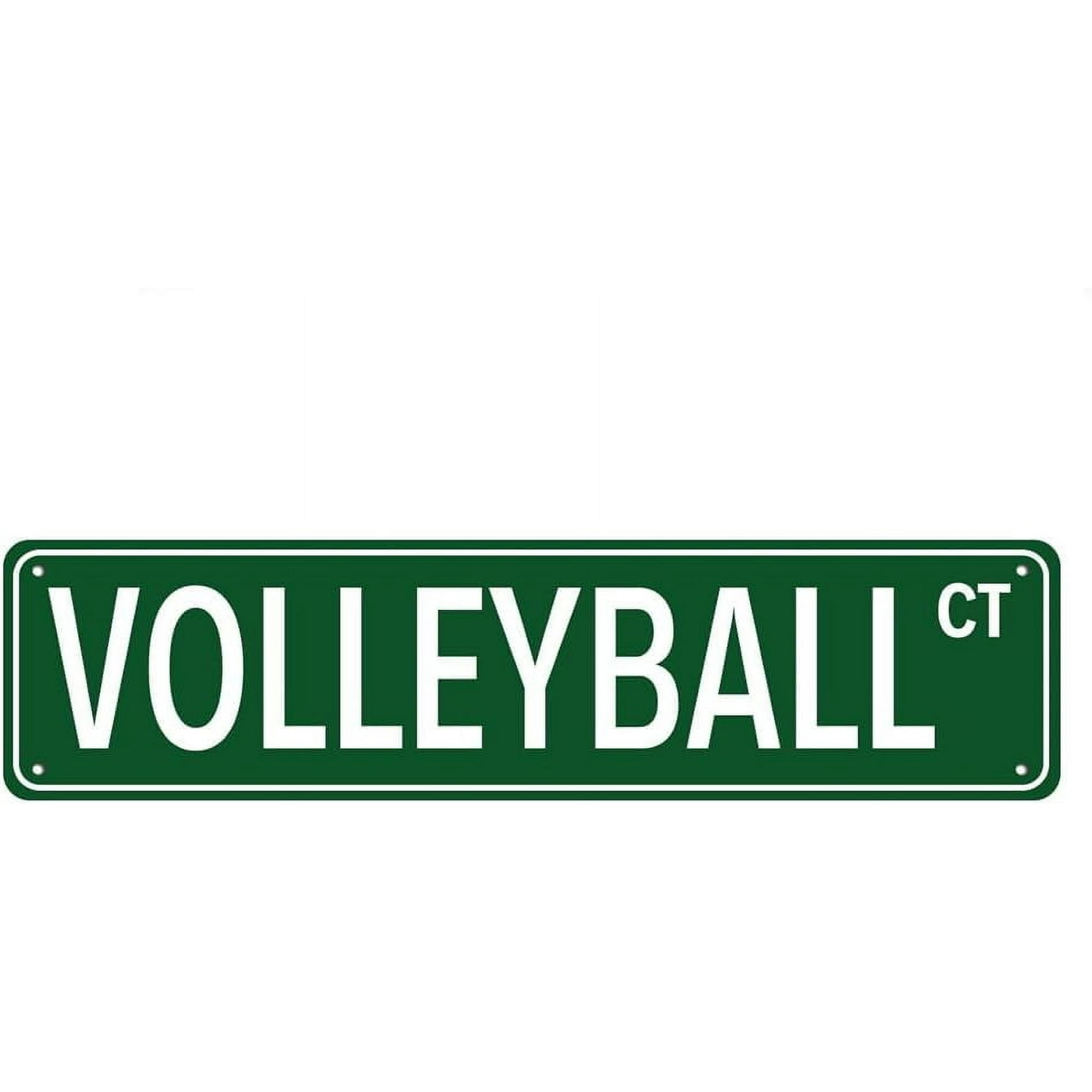 Click here for Hansgo Volleyball Ct Street Sign  Volleyball Ct Gi... prices
