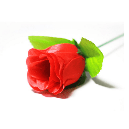 Torch rose Torch becomes rose Pickup girl magic props stage close-up ...