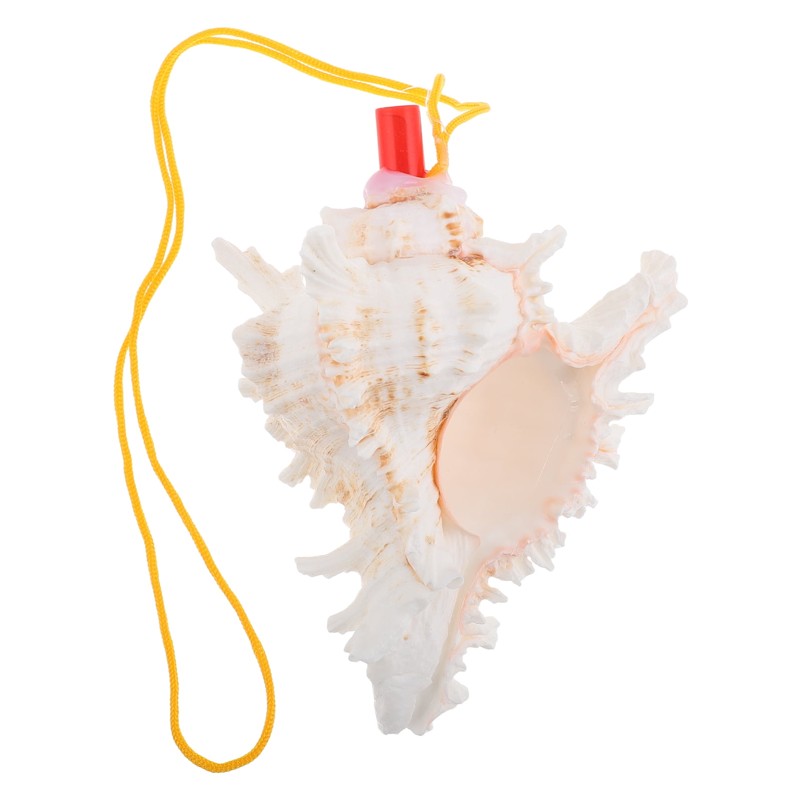 Click here for Qusenong Large Conch Shell Horn Whistle For Blowin... prices