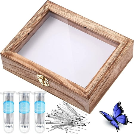 Insect Display Case Bug Display Box with Glass Top Acrylic Clear Top ...