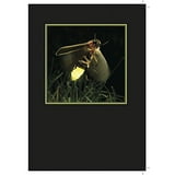 Gracefully Yours Fireflies Birthday Greeting Cards, 12, 4 designs/3 ...