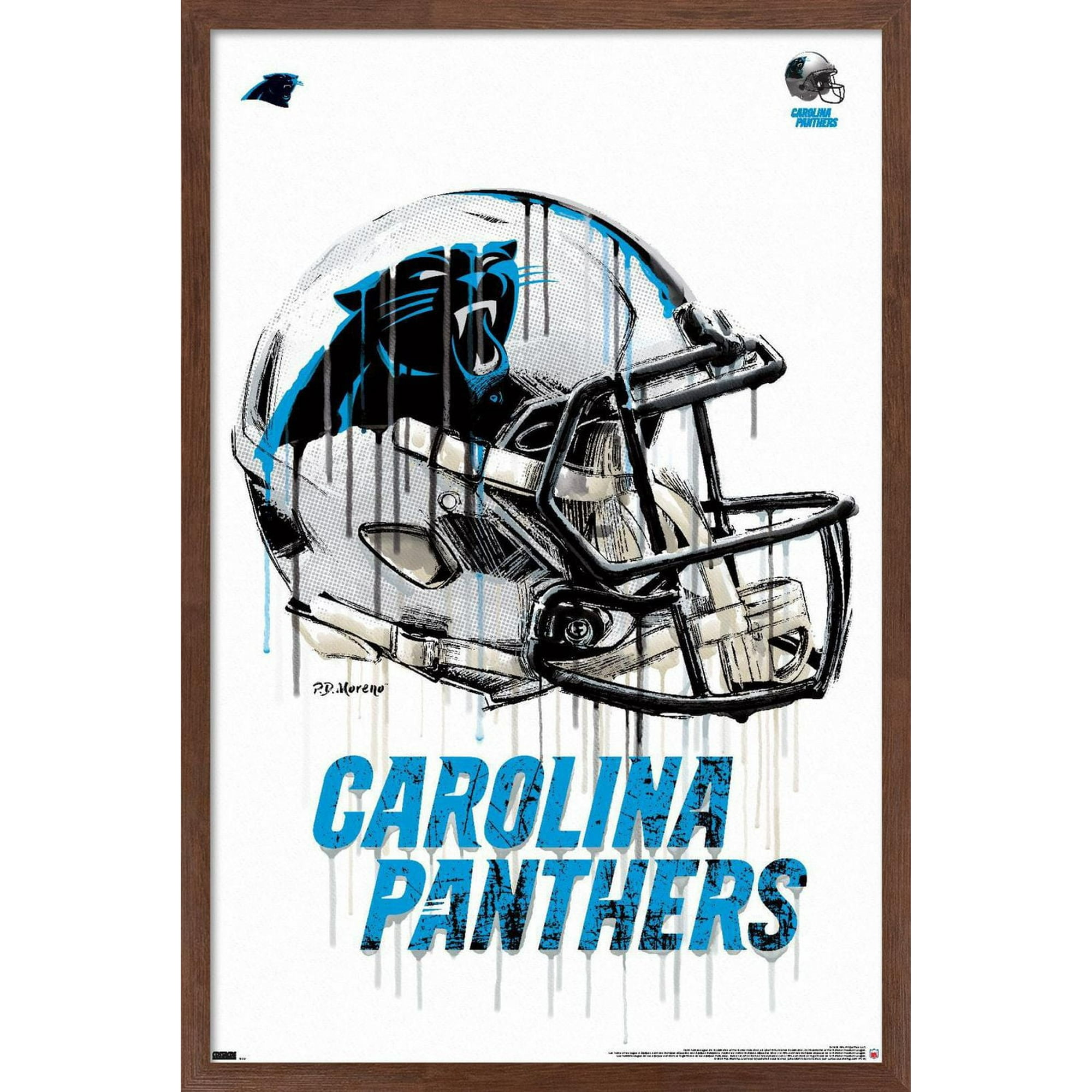 Click here for Trends International Nfl Carolina Panthers - Drip... prices