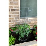 Glamos Wire 54 in Heavy Duty Steel Tomato Cage - Walmart.com
