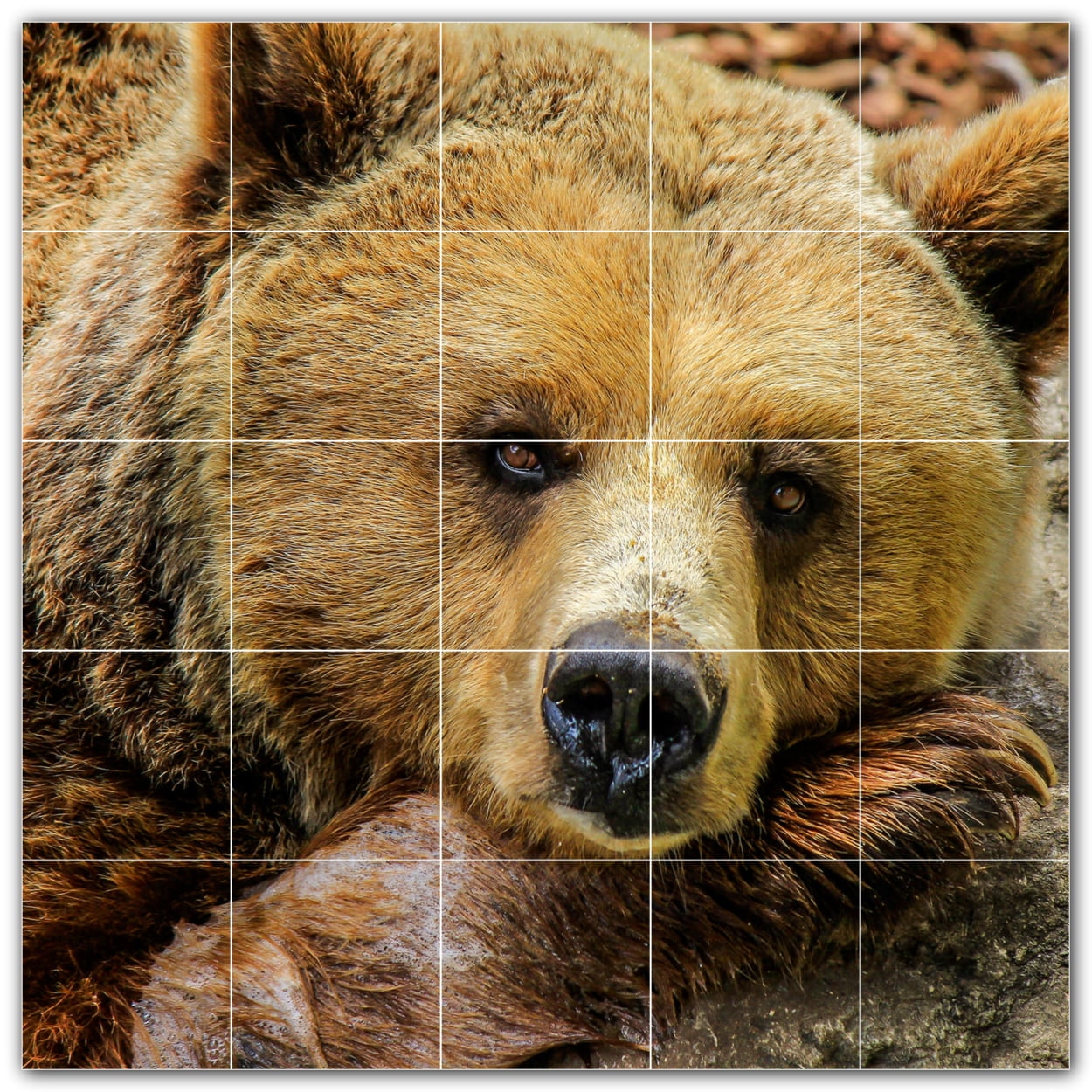 Picture-Tiles.com: Bear Ceramic Tile Wall Mural WAL500125-55M. 30"W x ...