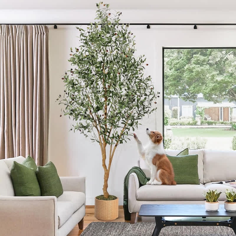 Click here for Eastvita 8ft Faux Olive Tree - Tall Silk Olive Tre... prices