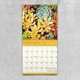 2019 Succulents 12" x 12" January 2019-December 2019 Wall Calendar ...