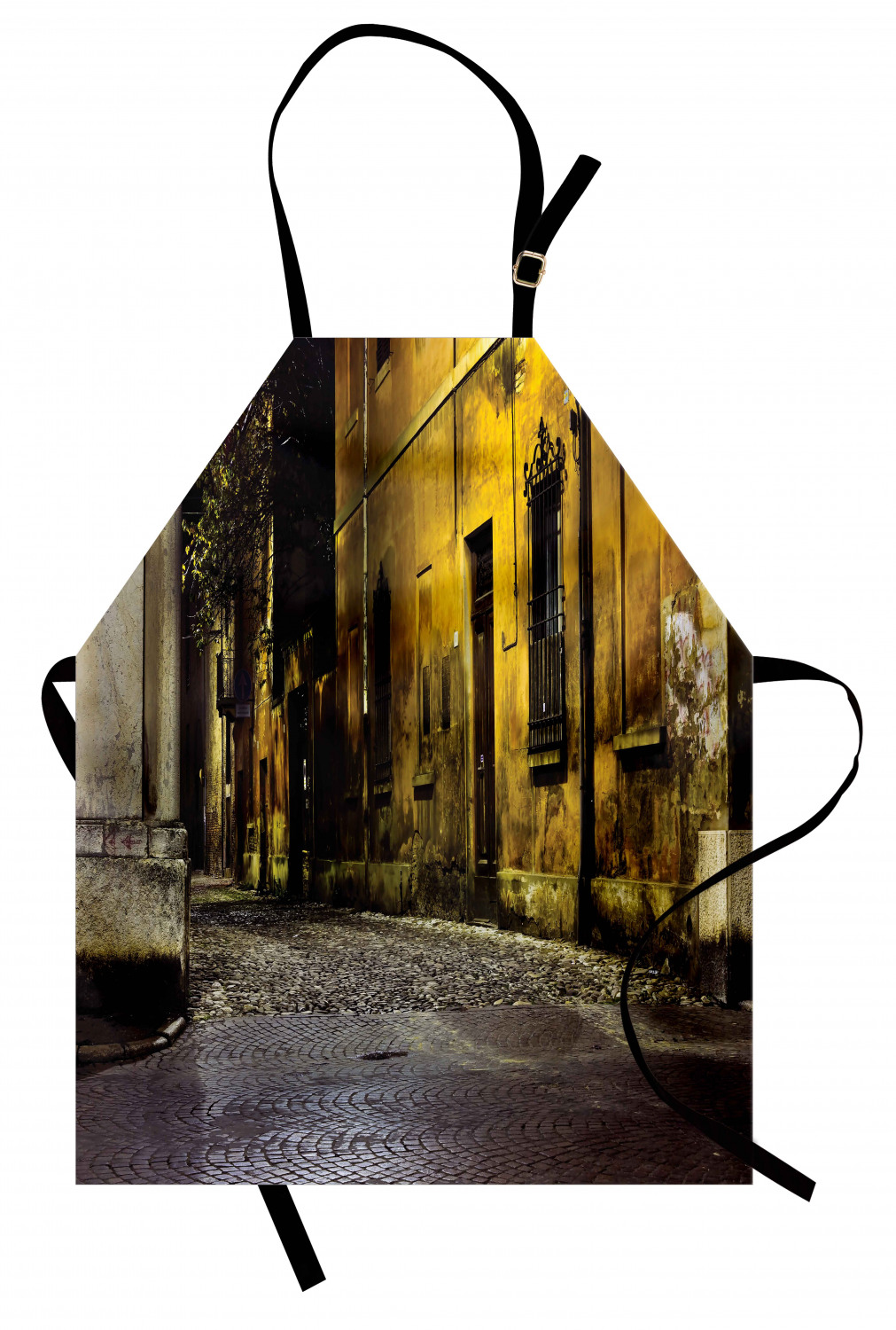 Street Apron Old Ancient Empty Dark City Streets Avenues with Homes ...