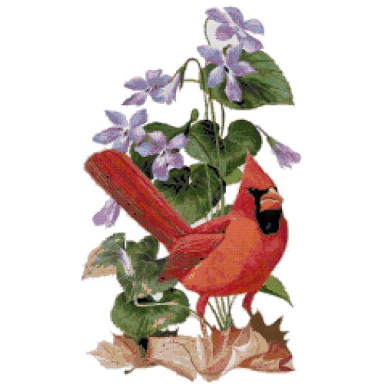 Ohio State Bird Flower Tree | Best Flower Site