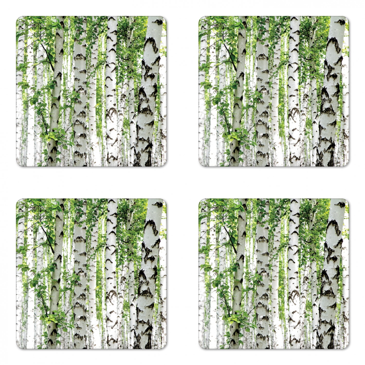 Woodland Coaster Set of 4, Birch Trees in the Forest Summertime ...