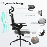 Ergonomic Office Chair, Adjustable Lumbar, Armrests, High Back Swivel ...