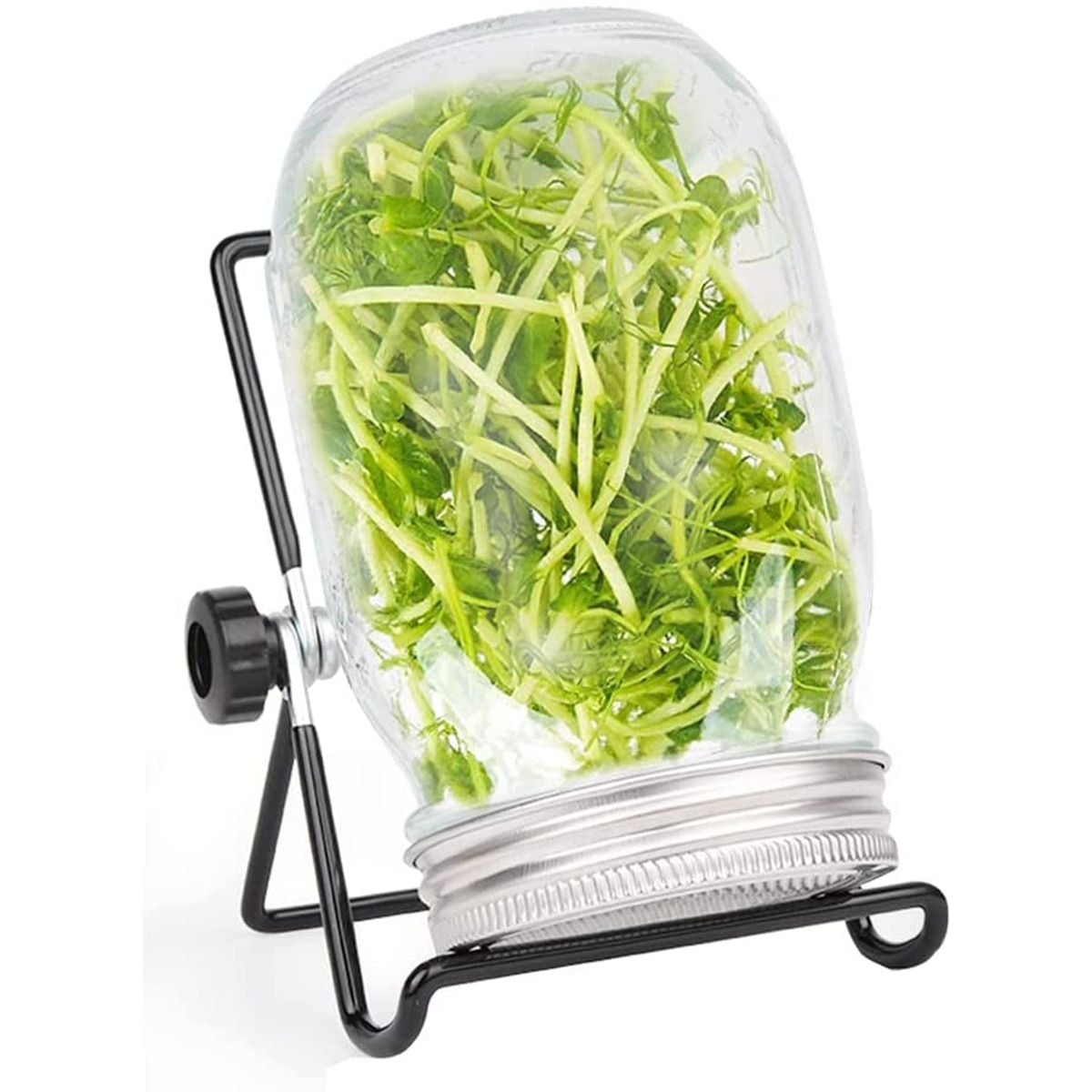 Fresh Wide Mouth Stainless Steel with Stand Sprouter Sprouting Jar Kit ...