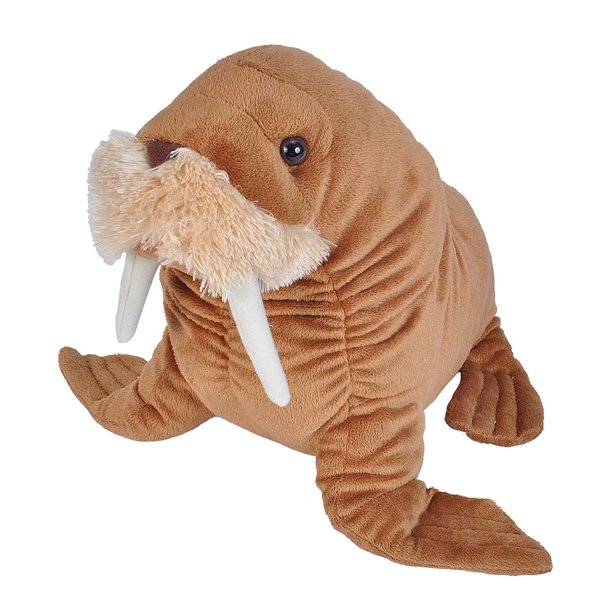 Cuddlekins Walrus Plush Stuffed Animal by Wild Republic, Kid Gifts, Zoo ...