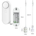 WiFi Water Level Sensor Alarms - Smart Device with App Alerts, Leak ...