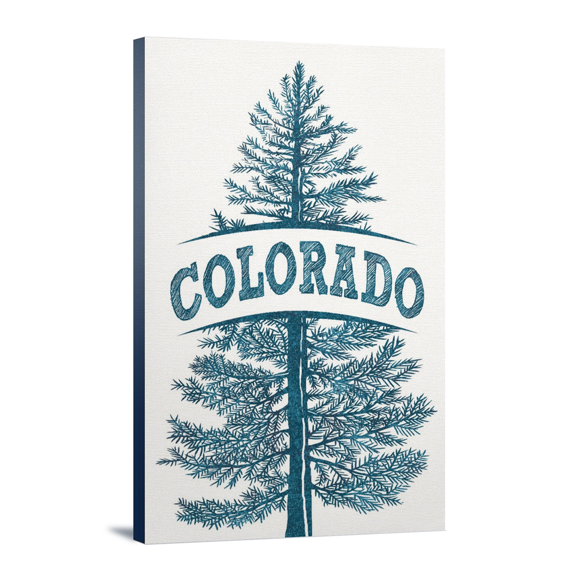 Colorado, Blue Spruce, Tree Illustration, (12x18 Wrapped Canvas, Wall ...