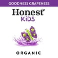 Honest Kids Organic Goodness Grapeness Fruit Juice Pouches, 6 fl oz, 8 ...