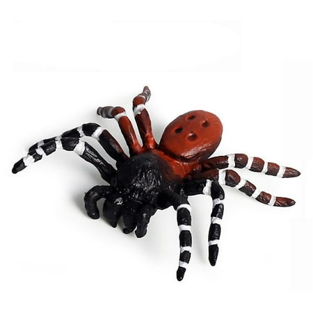 Bug Toys Figurines Insect Toys Figures For Kids--Spider（siyogwee ...