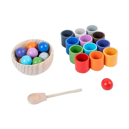 Montessori Sorting Game Balls in Cup Rainbow Ball Matching and Sorting ...