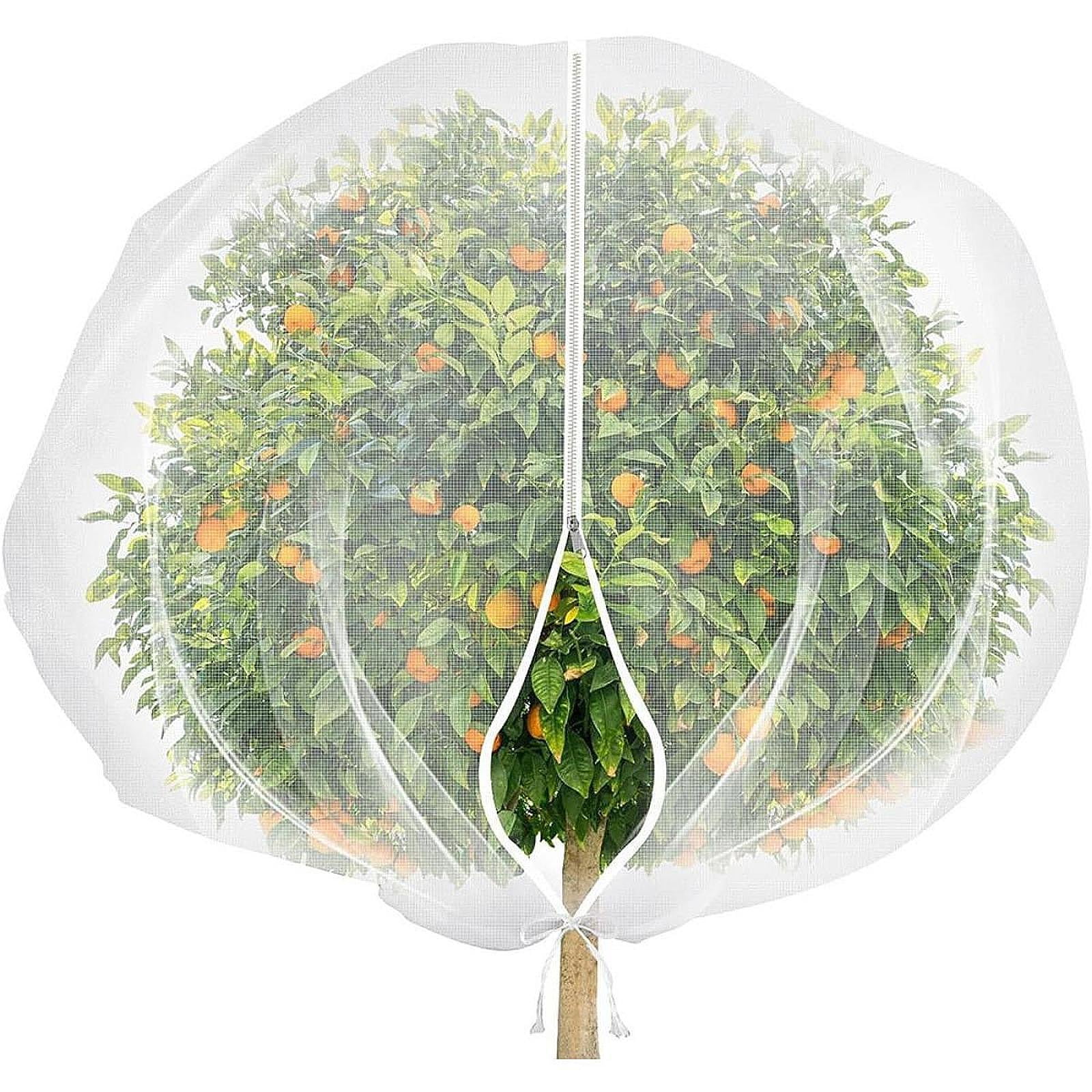 Click here for Dynwaveca Fruit Tree Netting Cover Premium Plant P... prices