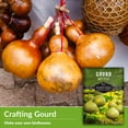 Survival Garden Seeds: 5 Packs - Bottle Gourd Seed, Birdhouse/Calabash ...