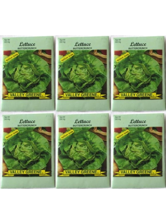 Lettuce Seeds in Seed Gardening - Walmart.com