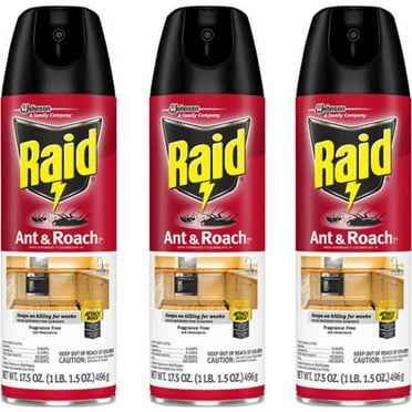 Raid® Ant & Roach Killer 26, Lemon Fresh Scent, 17.5 oz, Pack of 4 ...