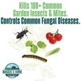 Maggie's Farm Vegetable Garden Insect & Disease Control RTU 24 oz ...