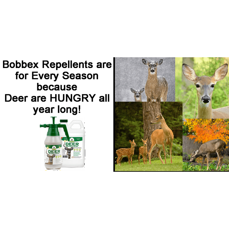 Bobbex Deer Repellent Concentrate 15 New Products Garden Retailers