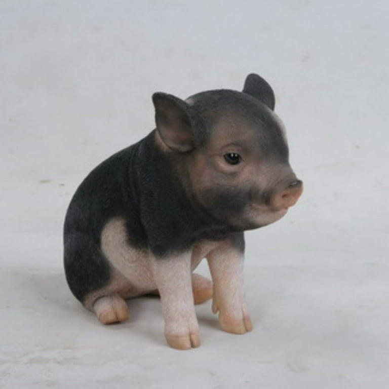 Black Baby Pigs