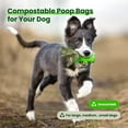 FMP Brands 240 Count 100% Compostable Dog Poop Bags Rolls for Large and ...