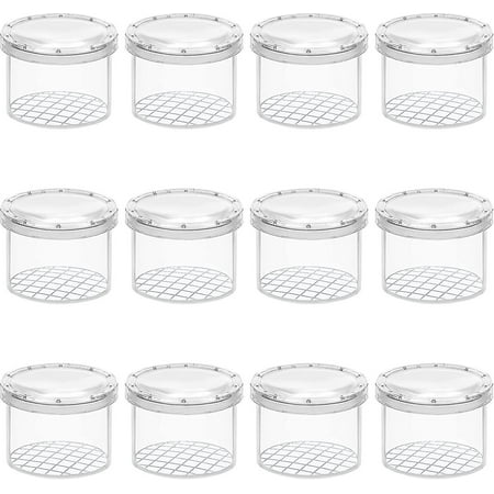 Chomel Magnifying Insect Container - Clear Observation Bug Box/viewer ...