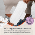 (2 pack) Cora Organic Ultra Thin Regular Period Pads, 32 Count ...