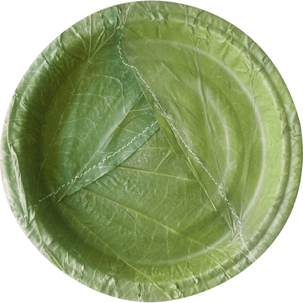 Palash - Natural Leaf Pattal Disposable Party, BBQ 6" Shallow Round ...