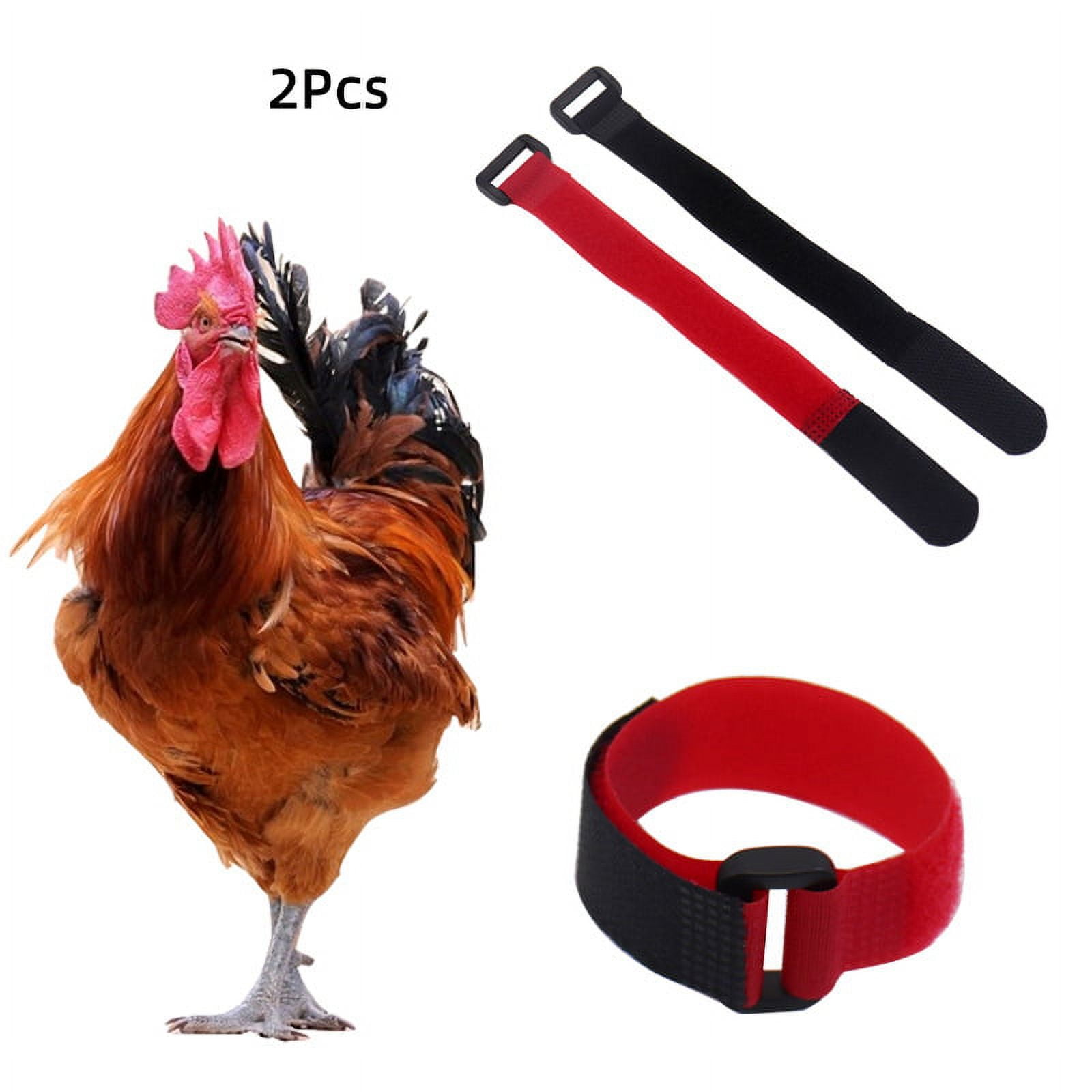 Los suministros para mascotas evitan el ruido del collar para pollos ...
