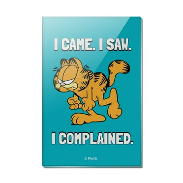 Garfield Whatever Face Rectangle Acrylic Fridge Refrigerator Magnet ...