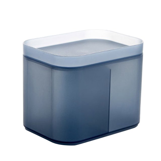 Plastic Frosted Compartment Storage Box with Lid Container Frosted ...