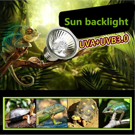 Volkmi Climbing pet UVB sun light turtle back light 220V E27 75W ...