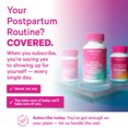 Pink Stork, Postnatal Multivitamin, 60ct, Vegan DHA Iron Folate B12 ...