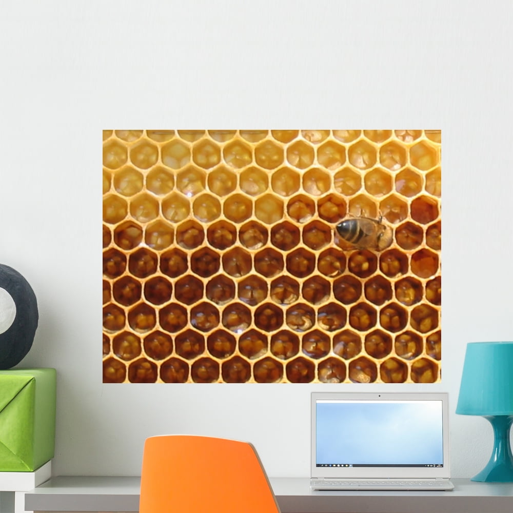 Honey Hive Wall Mural by Wallmonkeys Peel and Stick Graphic (24 in W x ...