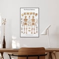 Anatomical Poster The Human Skeleton Posters Art Poster Canvas Painting ...