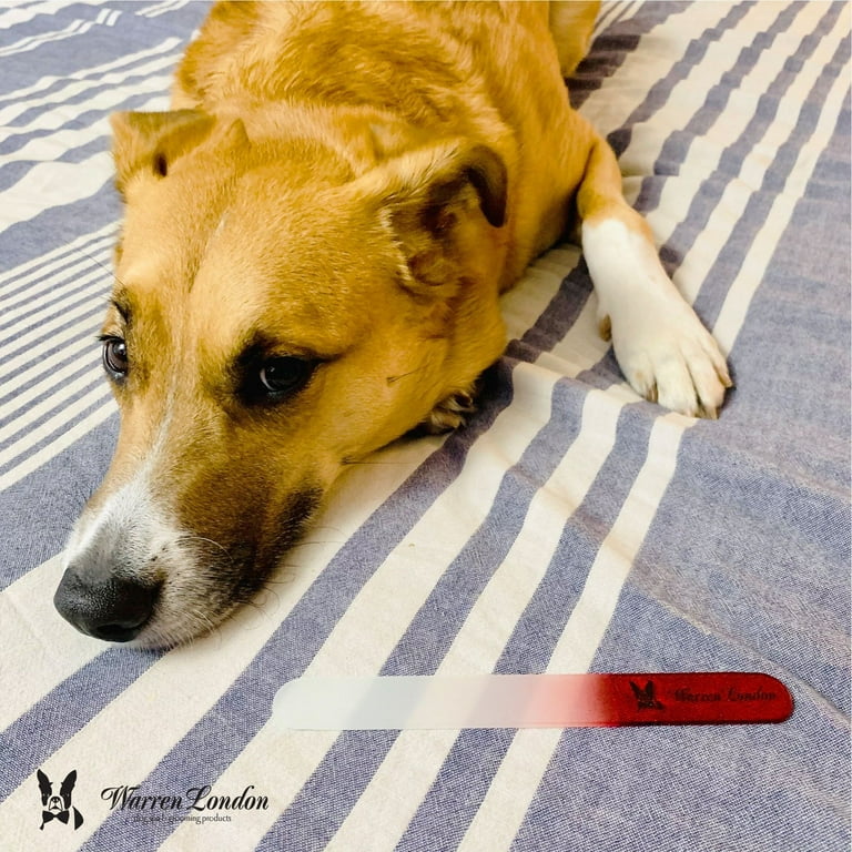 Can I Use A Nail File On My Dog